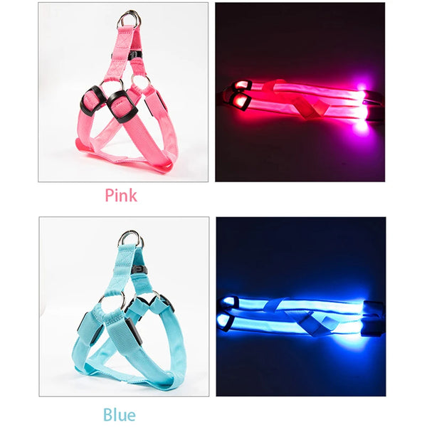 LED Dog Harness for Night Safety - RPBA Shop
